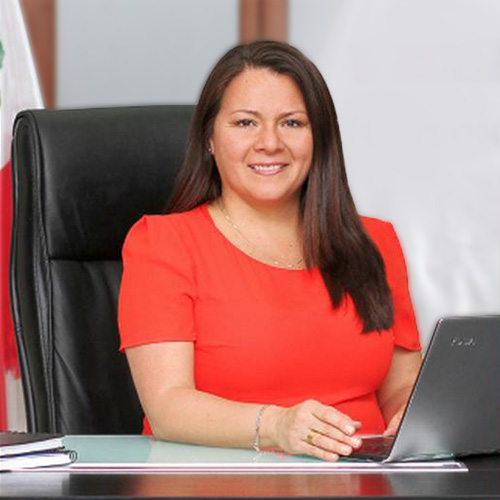 Nueva Normalidad: Una mayor necesidad de servicios digitales en el gobierno